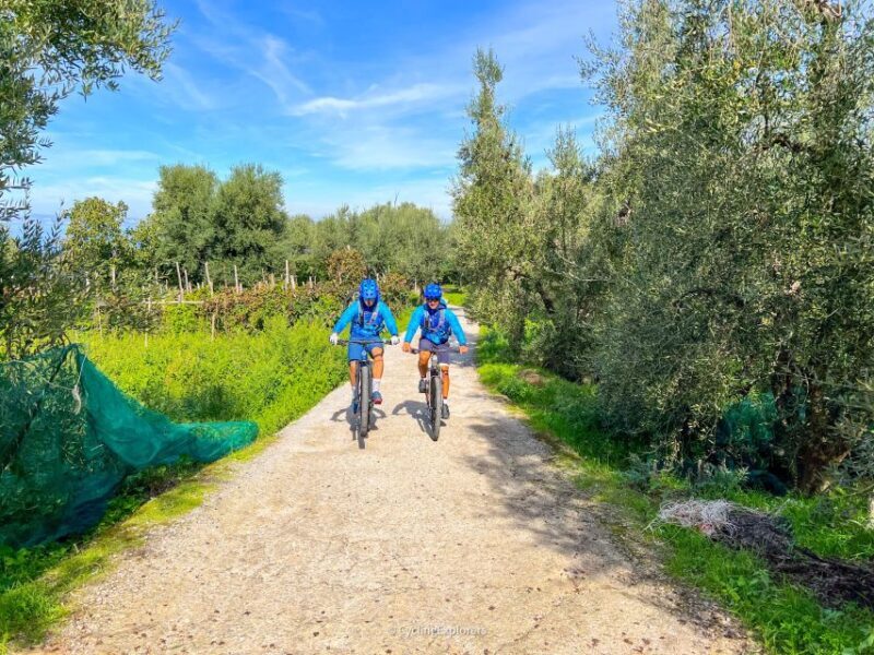 Sorrento: E-bike Oil & Lemon Tour with Tasting - FAQ