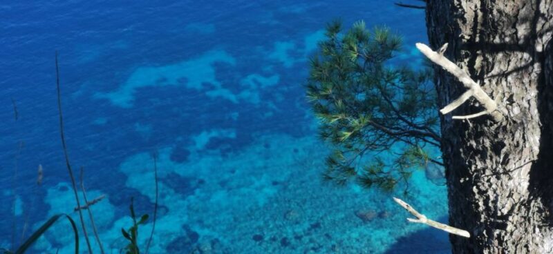 Sorrento Exclusive private boat tour in the land of Mermaids - An In-Depth Look at the Itinerary and Experience