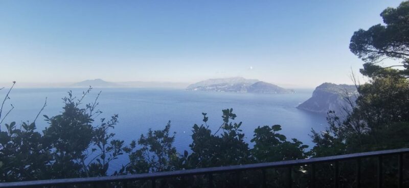 Sorrento Exclusive private boat tour in the land of Mermaids - FAQ