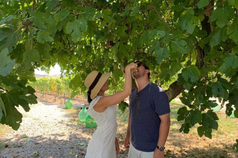 Sorrento: Family Farm Experience with Lunch - A Taste of the Italian Countryside: Sorrento Family Farm Experience with Lunch