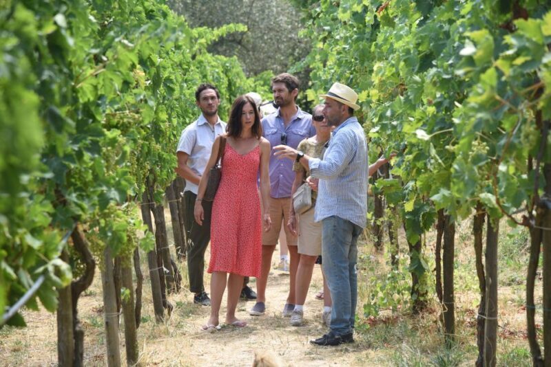 Sorrento: Farm Tour with Cheese Tasting & Pizza Making Class - A Closer Look at the Experience