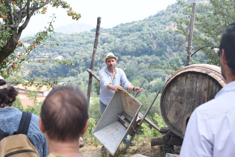 Sorrento: Farm Tour with Cheese Tasting & Pizza Making Class - Who Should Consider This Experience?