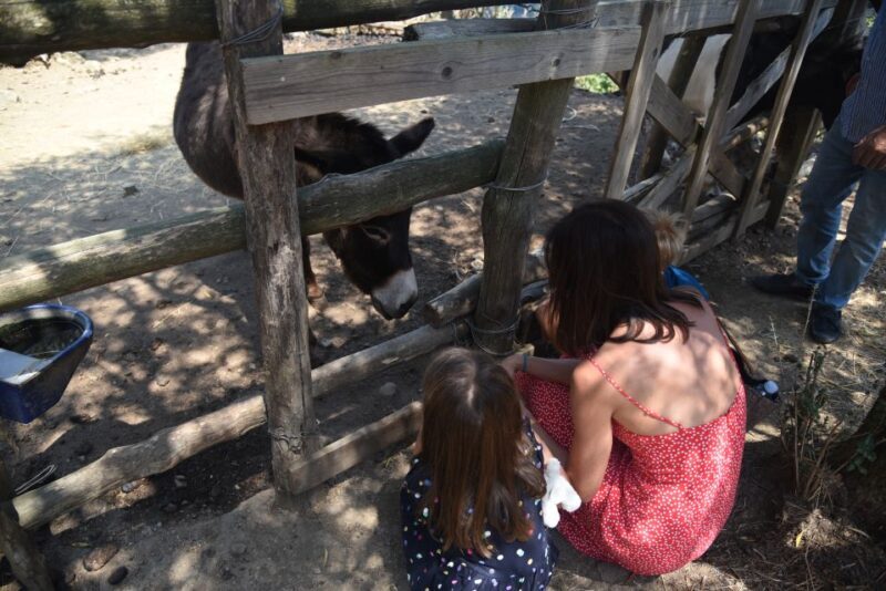 Sorrento: Farm Tour with Cheese Tasting & Pizza Making Class - Summing It Up