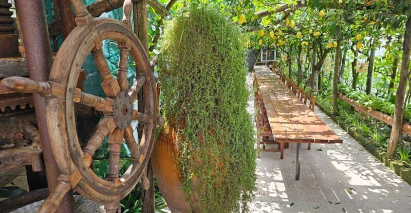Sorrento: Food Tour by E-Bike and Visit at Vinegar Cellar - Key Points