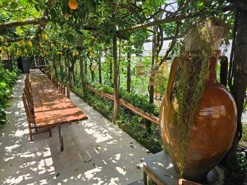 Sorrento: Food Tour by E-Bike and Visit at Vinegar Cellar - Authentic Experiences That Make This Tour Special
