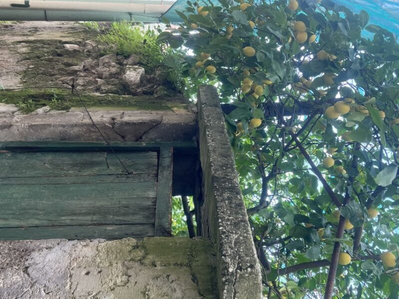 Sorrento: From the Hills to the Sea Hiking Tour - Key Points