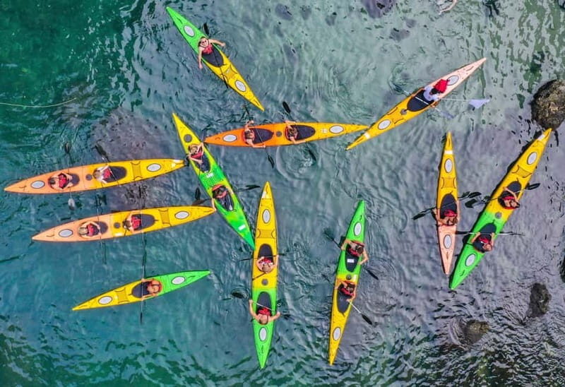 Sorrento: Guided Kayak Tour with Paddleboarding - Key Points
