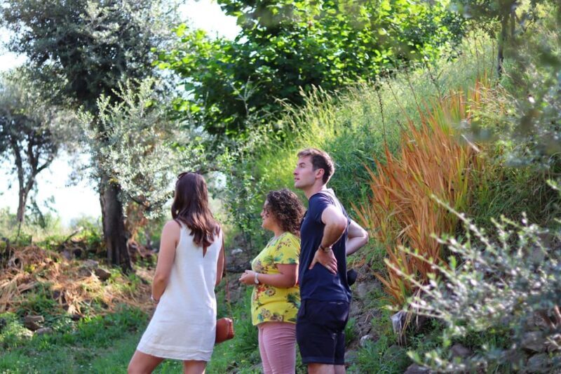 Sorrento: Guided Olive Mill Visit with Tastings - What to Keep in Mind