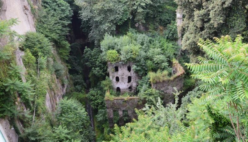 Sorrento: Guided Walking Tour & Limoncello Tasting - Who This Tour Is Perfect For