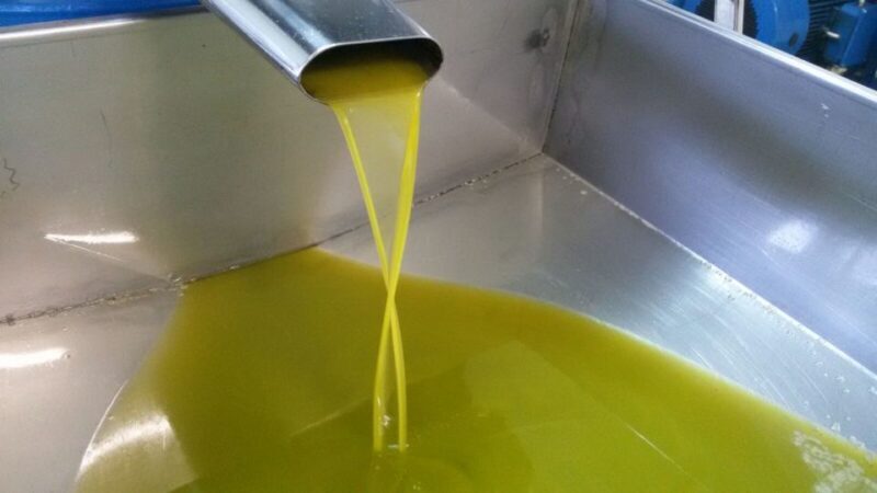 Sorrento: Lemon, Olive Oil and Wine Tasting Tour with Lunch - Is It Worth the Price?