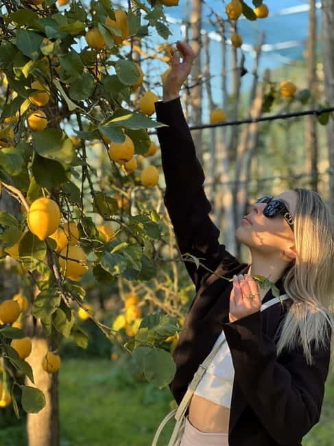 Sorrento: Lemon Picking & Tasting Tour - An Introduction to the Lemon Experience in Sorrento