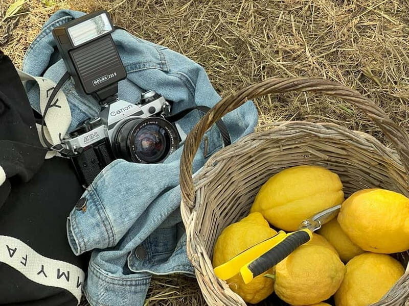 Sorrento: Lemon Picking & Tasting Tour - Why the Tasting Matters