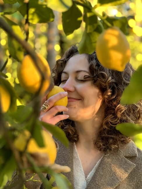 Sorrento: Lemon Picking & Tasting Tour - Practical Details: What to Expect