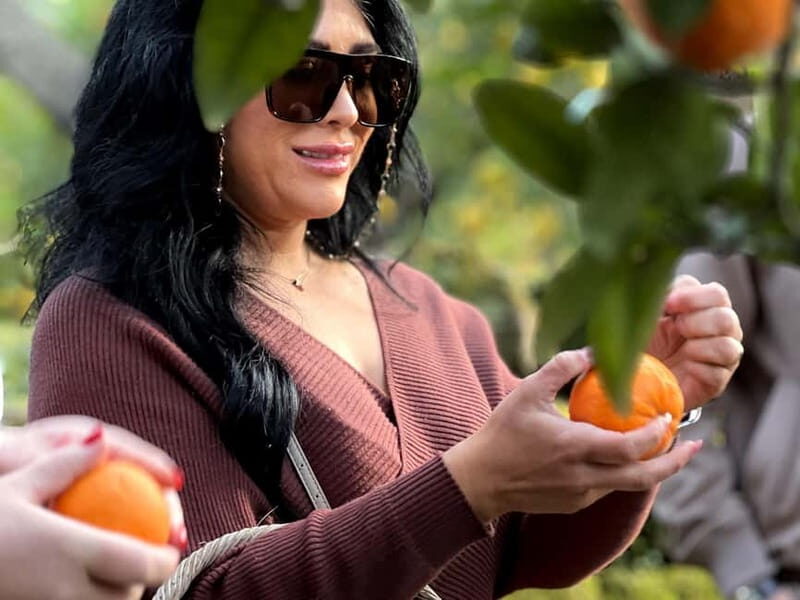 Sorrento: Lemon Picking & Tasting Tour - Authentic and Enjoyable for Many