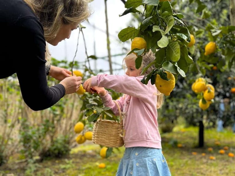 Sorrento: Lemon Picking & Tasting Tour - Who Should Consider This Tour?