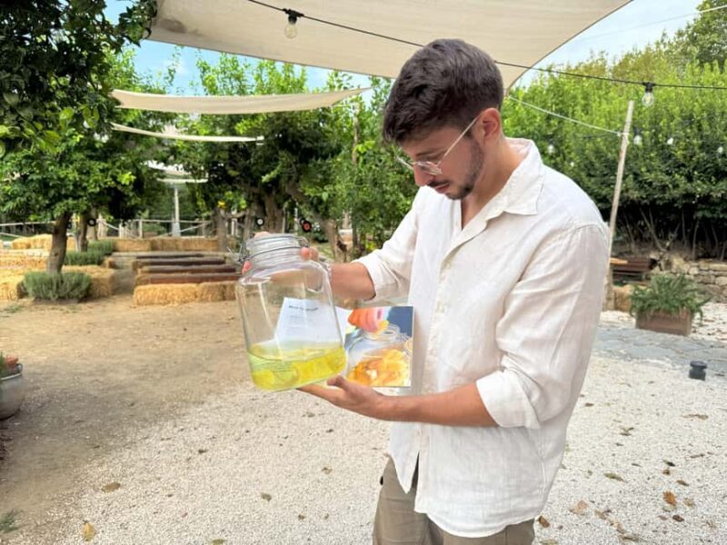 Sorrento: Lemon Tour & Limoncello Spritz Workshop - Who Will Love This Experience?