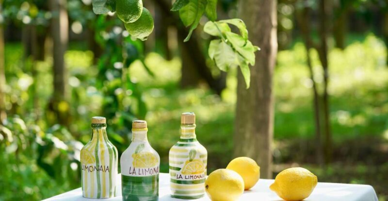 Sorrento Lemon Tour - Key Points