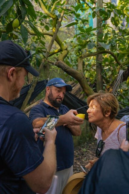 Sorrento: Lemons grove, Farm Tour&Tasting and Pizza Class - Exploring the Itinerary and What to Expect