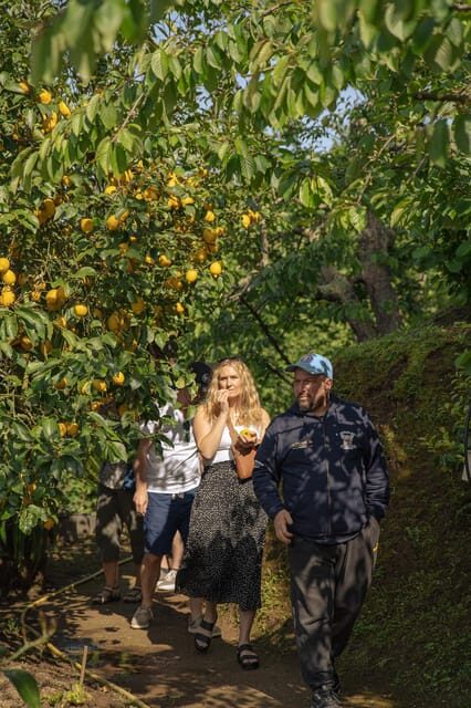 Sorrento: Lemons grove, Farm Tour&Tasting and Pizza Class - The Sum Up