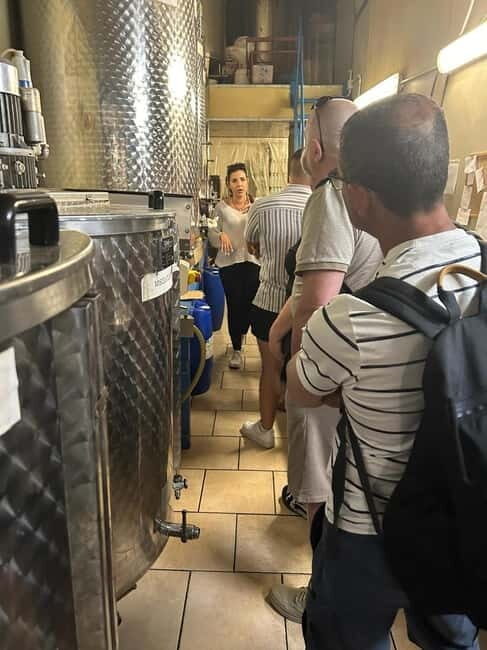 Sorrento: Limoncello Factory Tour and Tasting Experience - Practical Details and Considerations