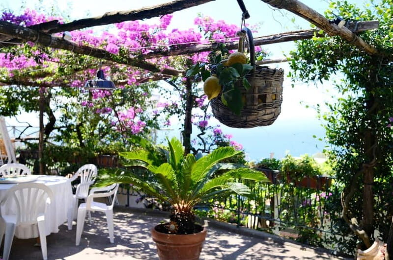 Sorrento: Marì Cooking Class in a Family Farm w/ Coast View - Key Points