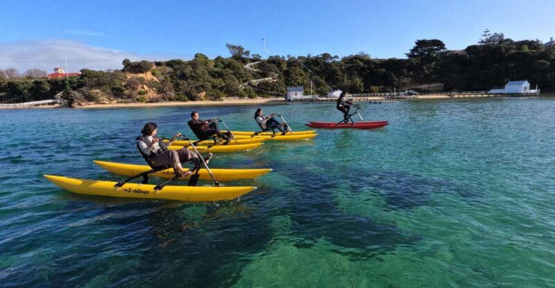 Sorrento, Mornington Peninsula Waterbike Tour - Analyzing the Value: Price and What’s Included
