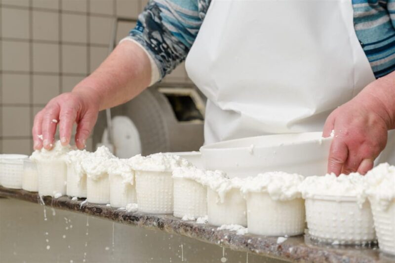 Sorrento: mozzarella cheese workshop in Vico Equense - The tasting experience and what’s included