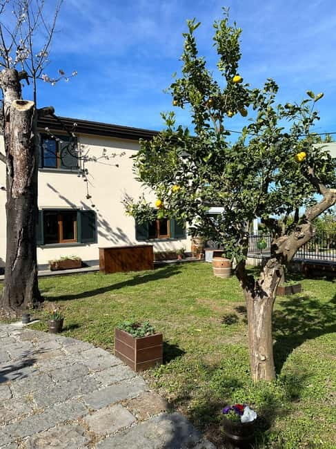 Sorrento: Mozzarella experience. Say CHEESE with us! - Practical Tips for Participants