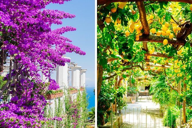 Sorrento & Pompeii From Rome - Private Day Trip - What Travelers Say