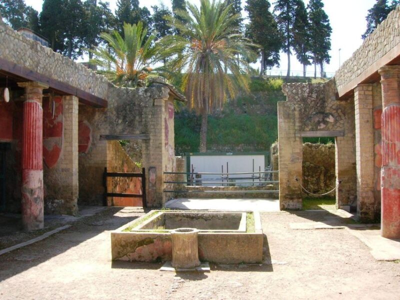 Sorrento: Pompeii & Herculaneum Day Trip Entry and Lunch - An In-Depth Look at the Tour Experience