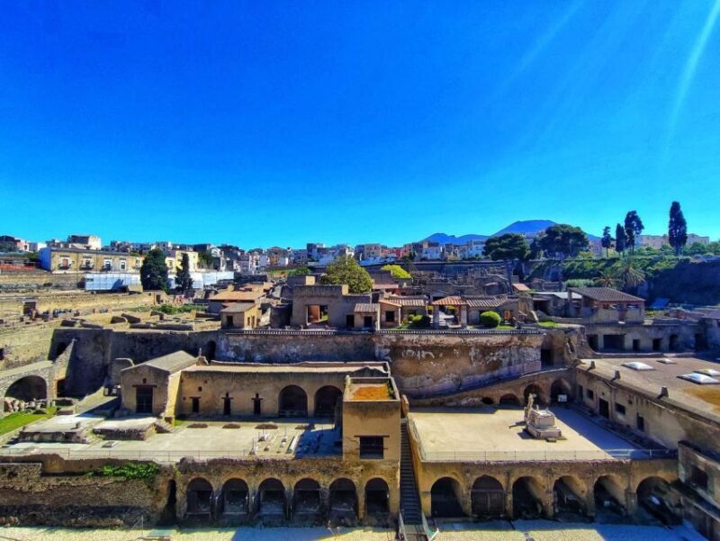 Sorrento: Pompeii & Herculaneum Day Trip Entry and Lunch - Who Should Consider This Tour?