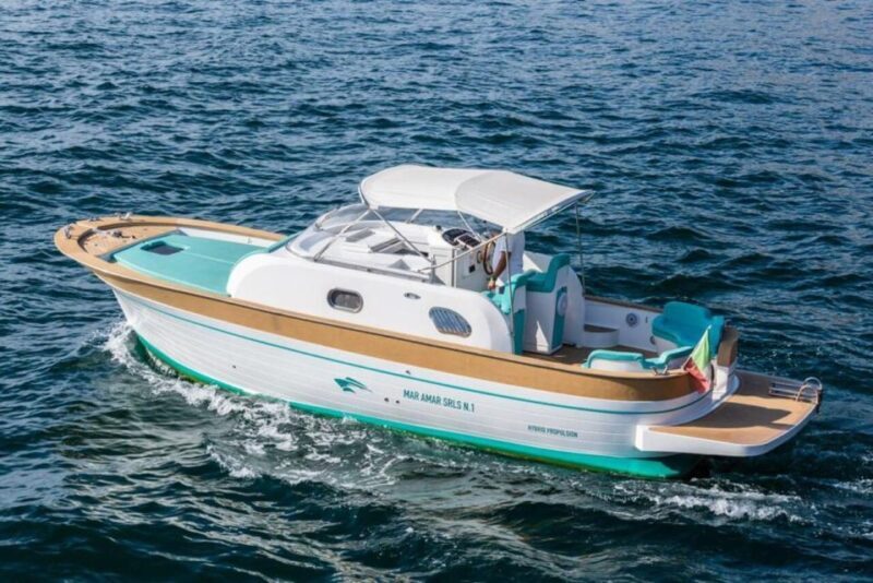 Sorrento: Private Capri Island Boat Tour with Blue Grotto - The Experience: Pros and Cons