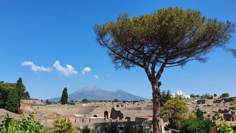 Sorrento: Skip-the-Line Pompeii Express Tour by Train - The Sum Up