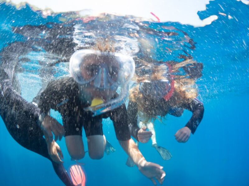 Sorrento: Snorkeling morning tour with a Marine Biologist. - An Authentic Look at the Sorrento Snorkeling Experience