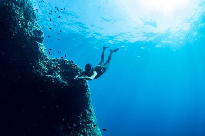 Sorrento: Snorkeling morning tour with a Marine Biologist. - The Value Proposition