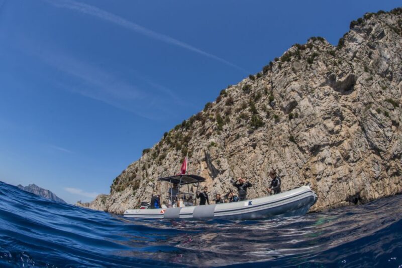 Sorrento: Snorkeling morning tour with a Marine Biologist. - Frequently Asked Questions