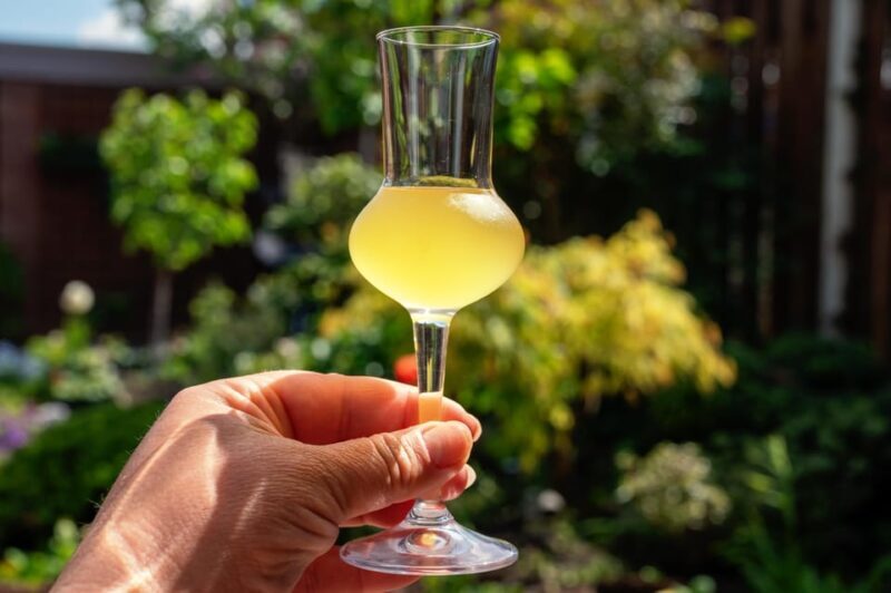 SORRENTO: Sunset Limoncello Making After-Dinner Experience - What We Loved and What Might Be a Consideration