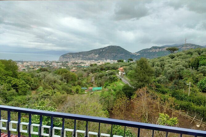 Sorrento Tour, Cooking Class, Typical Lunch & Extra Virgin Olive Oil - Final Thoughts: Who Will Love This Tour?