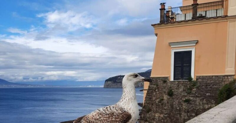 Sorrento: walking in the Grand Tour with stunning landscapes - A Dive into the Sorrento Experience