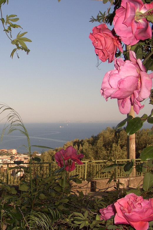 Sorrento: Walking Tour in Lemon Garden w/ Food Tasting - Key Points