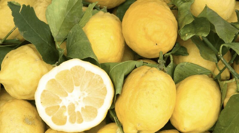 Sorrento: Walking Tour in Lemon Garden w/ Food Tasting - The Itinerary: What to Expect?