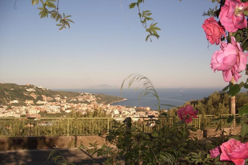 Sorrento: Walking Tour in Lemon Garden w/ Food Tasting - Practical Tips for Travelers