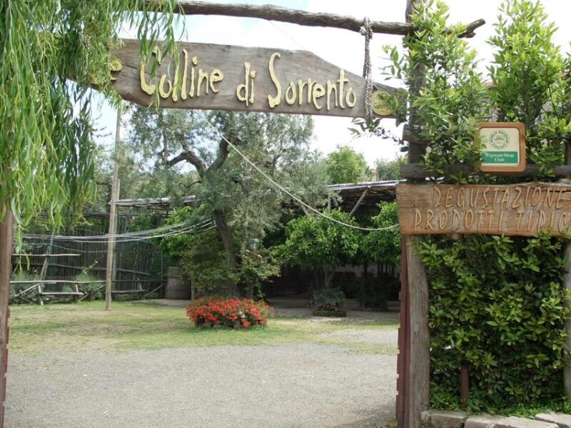 Sorrento: Walking Tour in Lemon Garden w/ Food Tasting - FAQ