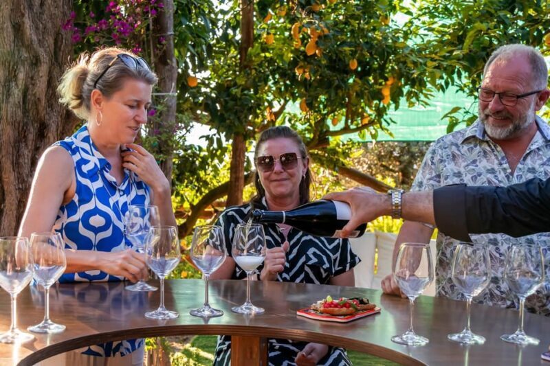 Sorrento: Wine Tasting Overlooking the Sea in a Lemon Grove - Why Consider the Sorrento Wine Tasting Experience?