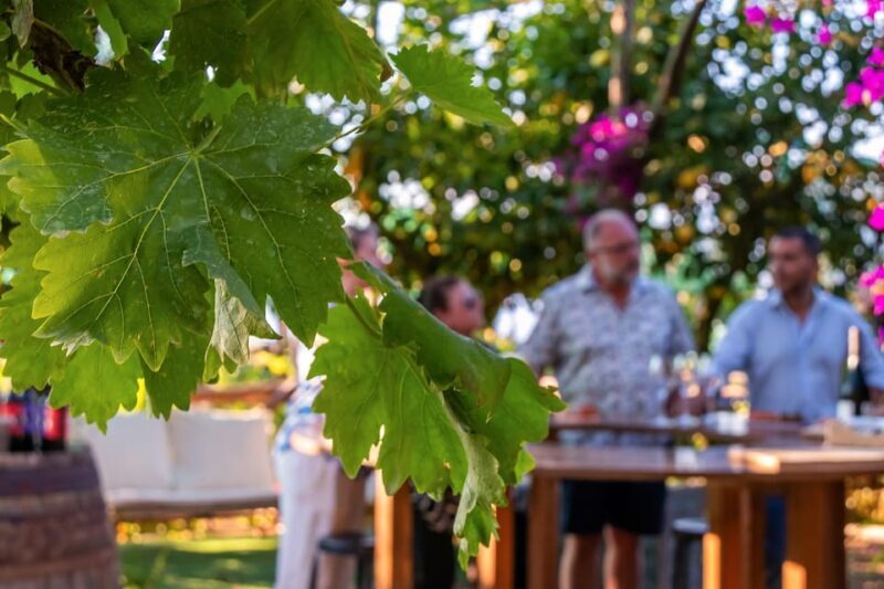 Sorrento: Wine Tasting Overlooking the Sea in a Lemon Grove - The Itinerary: An Intimate Journey Through Sorrentos Wines