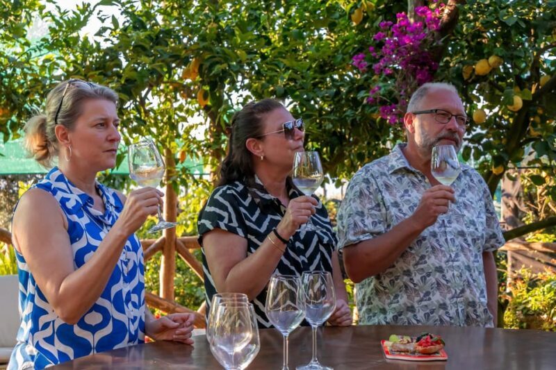 Sorrento: Wine Tasting Overlooking the Sea in a Lemon Grove - Who Will Love This Tour?