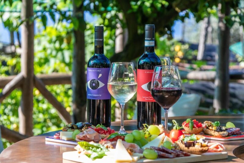 Sorrento: Wine Tasting Overlooking the Sea in a Lemon Grove - The Sum Up: A Delightful Sip of Sorrento