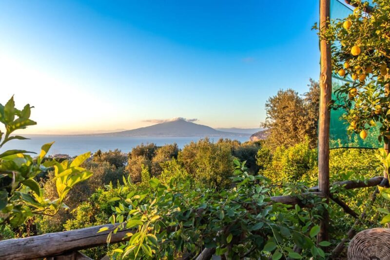 Sorrento: Wine Tasting Overlooking the Sea in a Lemon Grove - FAQ