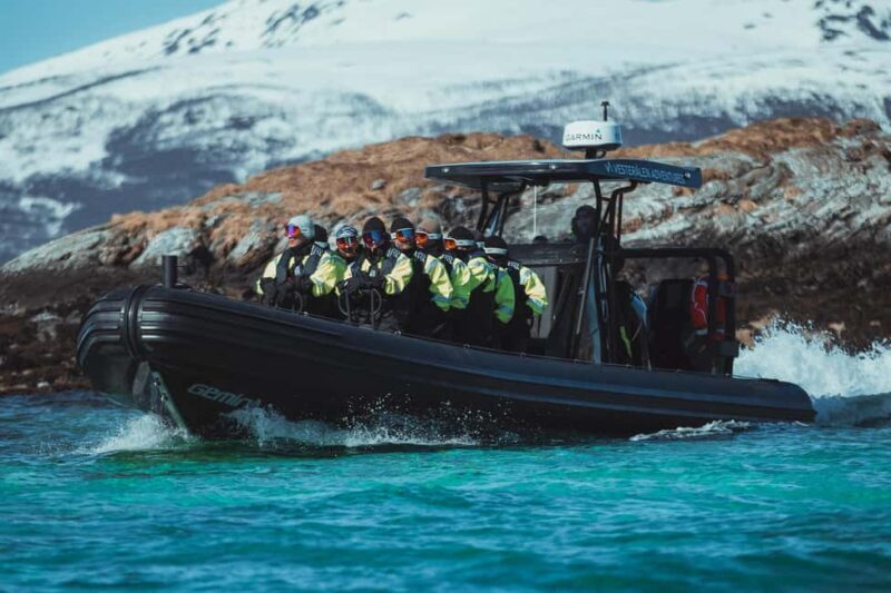 Sortland: Fjord and Sea Eagle Safari by RIB Boat - The Experience: A Detailed Look into the Fjord and Sea Eagle Safari