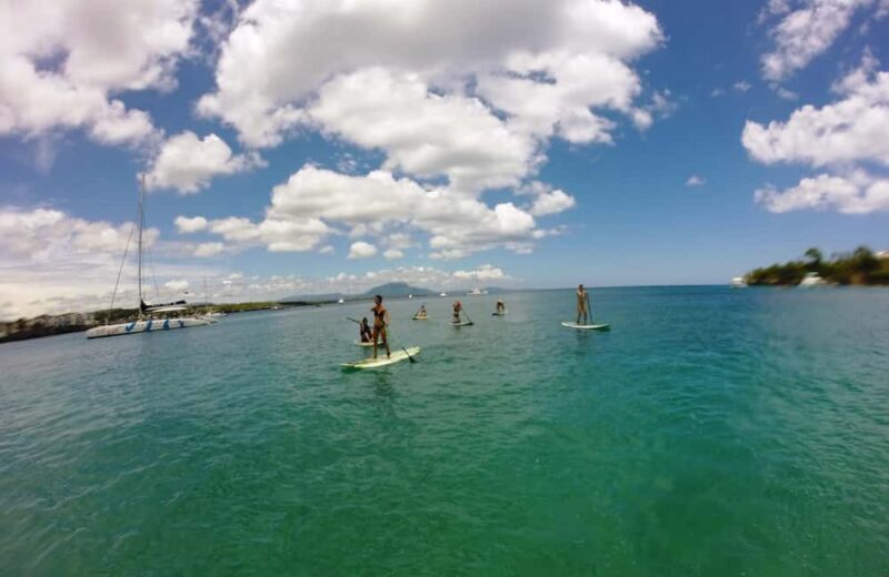 Sosua: Beach Day and Stand Up Paddle Boarding - Key Points